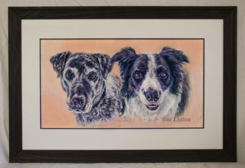Quality pet portraits by Sue Linton dogs , cats , horses, people